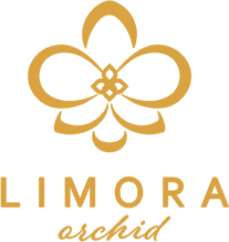 施工中 - limora